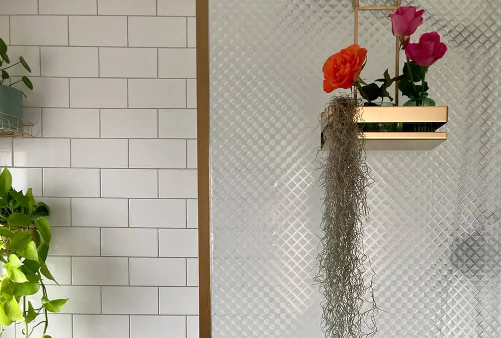 Bathroom Window Film Inspiration - Surface Designs