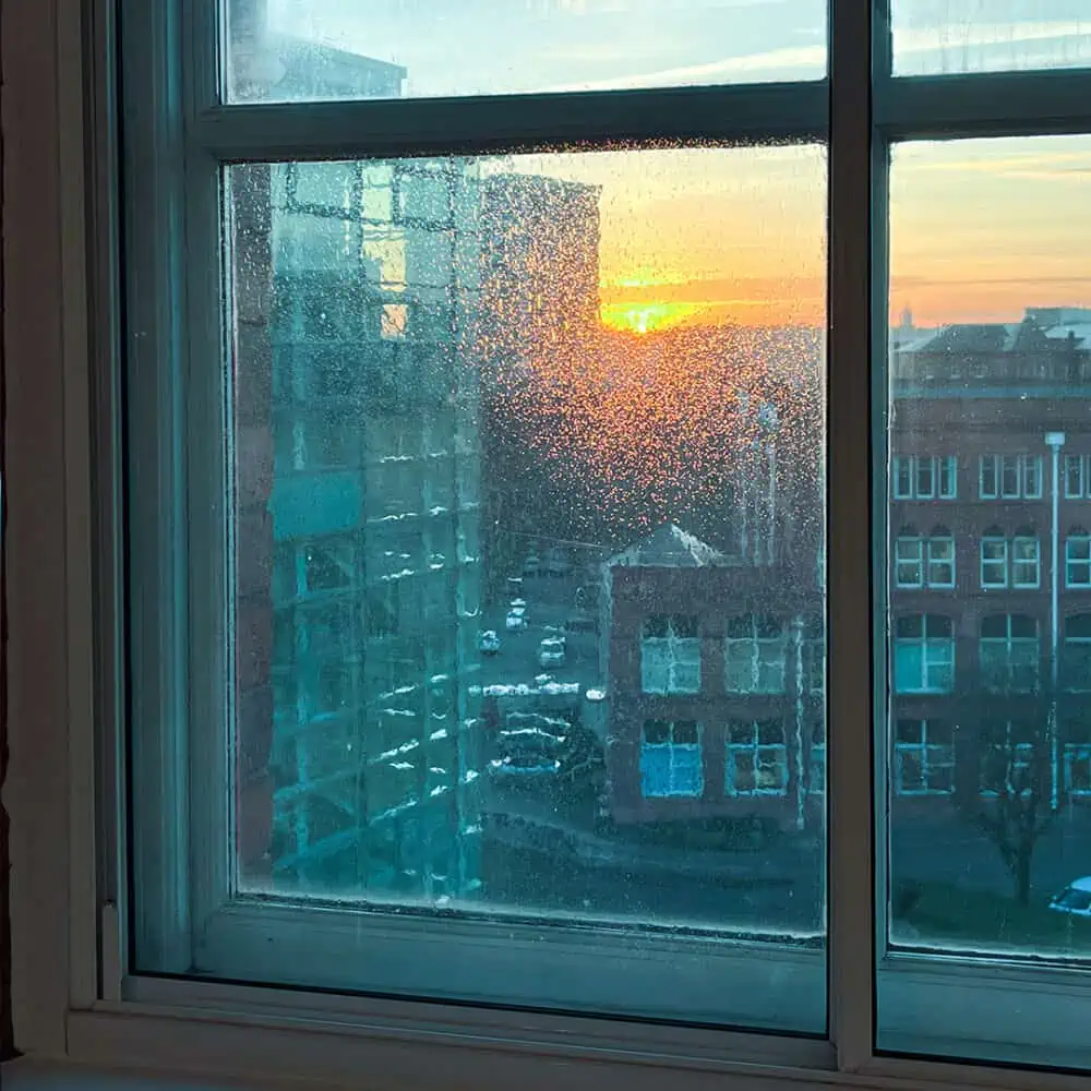 Light Seedy Glass Window Film | Surface Designs