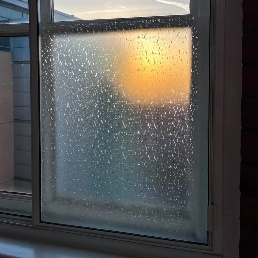 Seeded Frost Window Film | Surface Designs