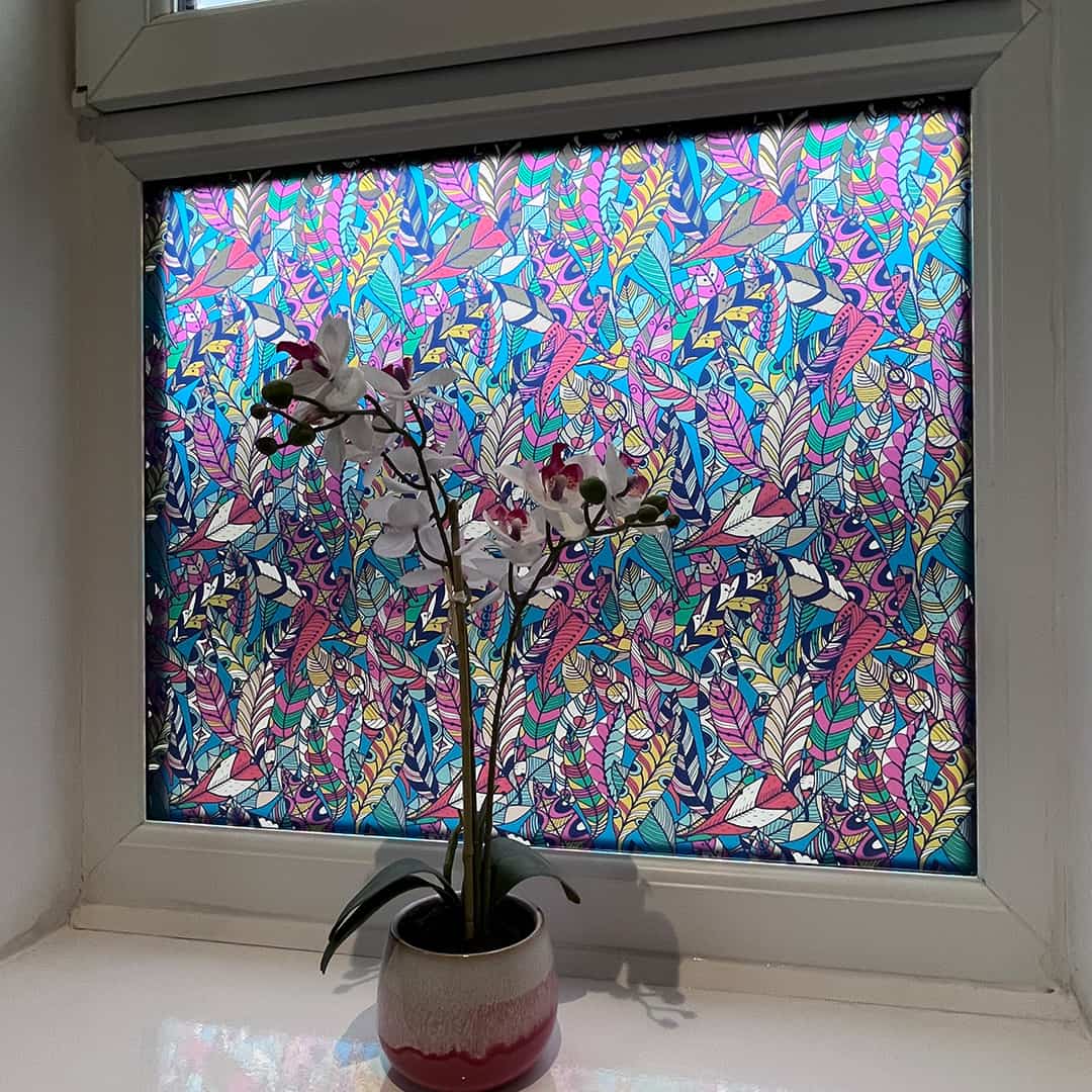 Stained Glass Feathers Window Film | Surface Designs