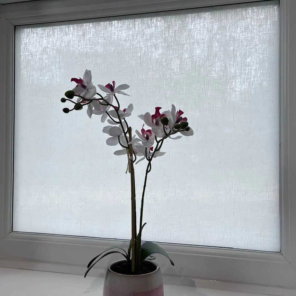 Organic Cotton Window Film | Surface Designs