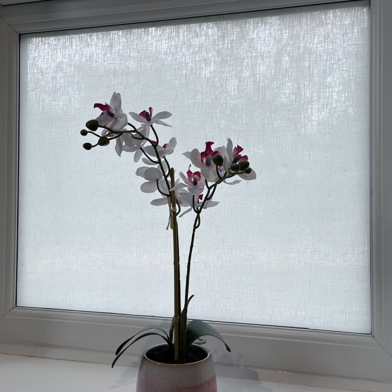 Shop Patterned Frosted Window Film | Surface Design
