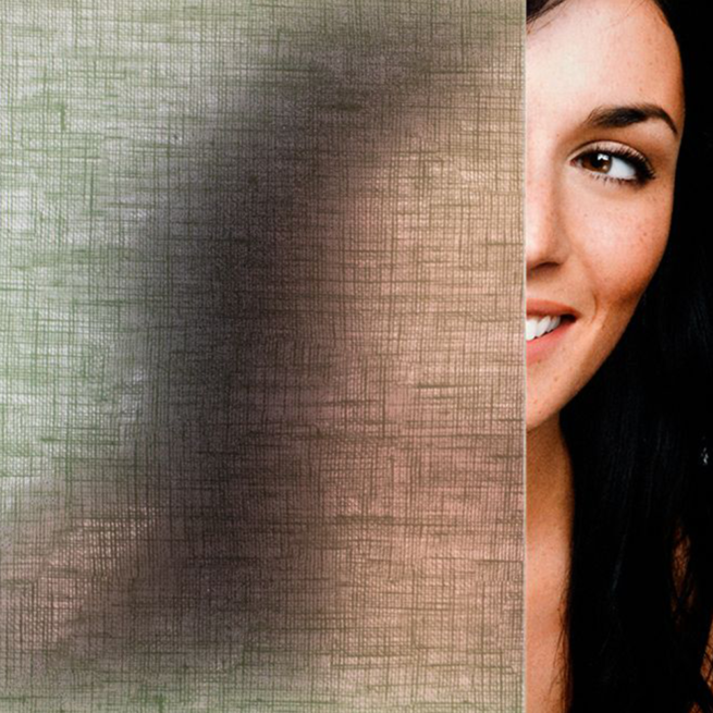 Olive Green Organic Cotton Window Film - Surface Designs